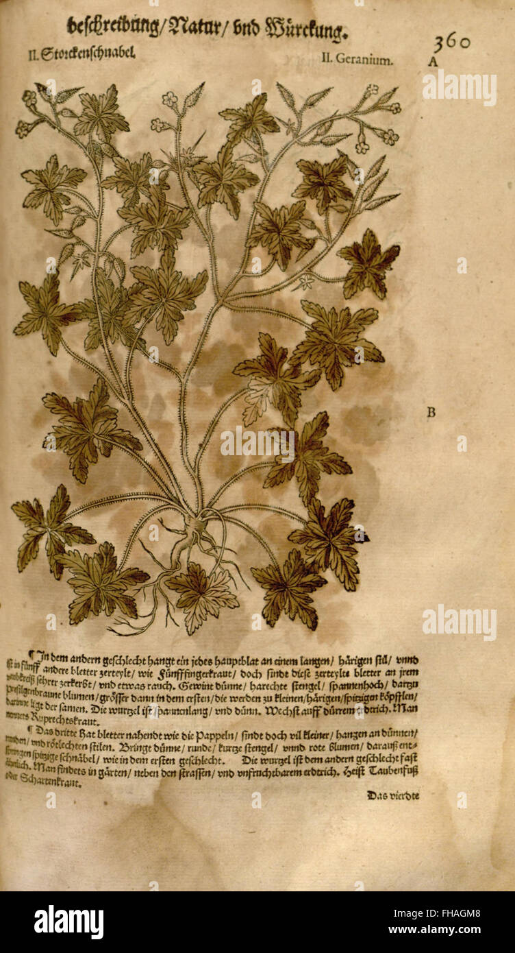 An early work on medicinal plants and pharmacology, focusing on ...
