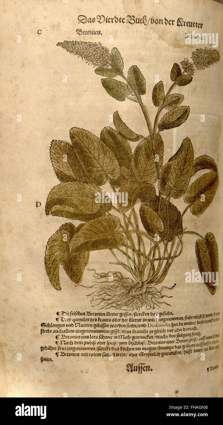 A botanical dictionary with medical focus, including early works on ...