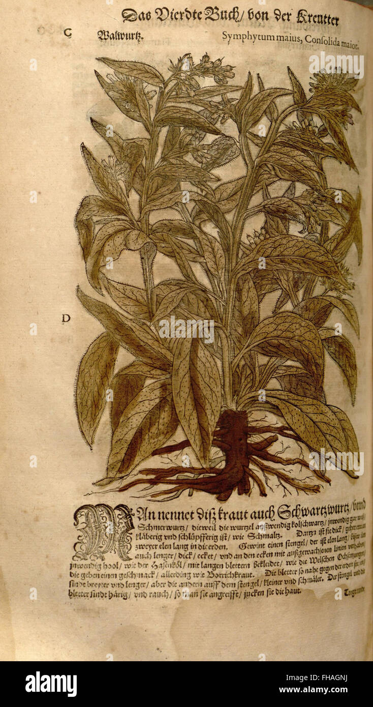 An important early work on the materia medica of Dioscorides Pedanius ...
