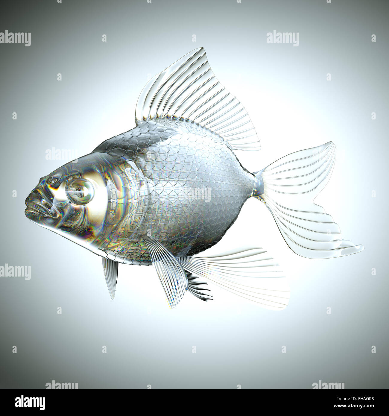 Glassy fish with scales and fins over grey Stock Photo - Alamy