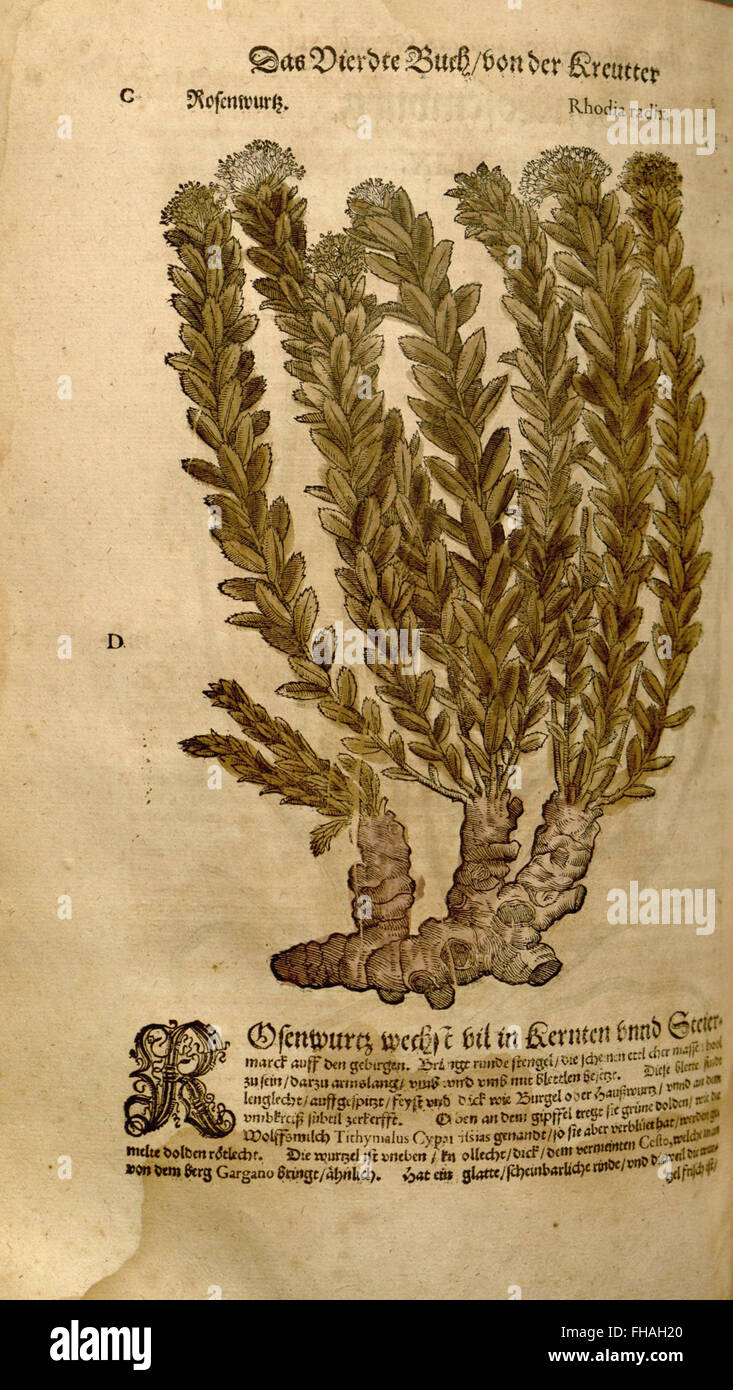 An important botanical and medical work from the early 1800s, exploring ...