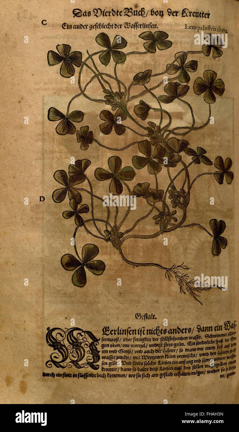 A comprehensive botanical dictionary, referencing medical works by ...