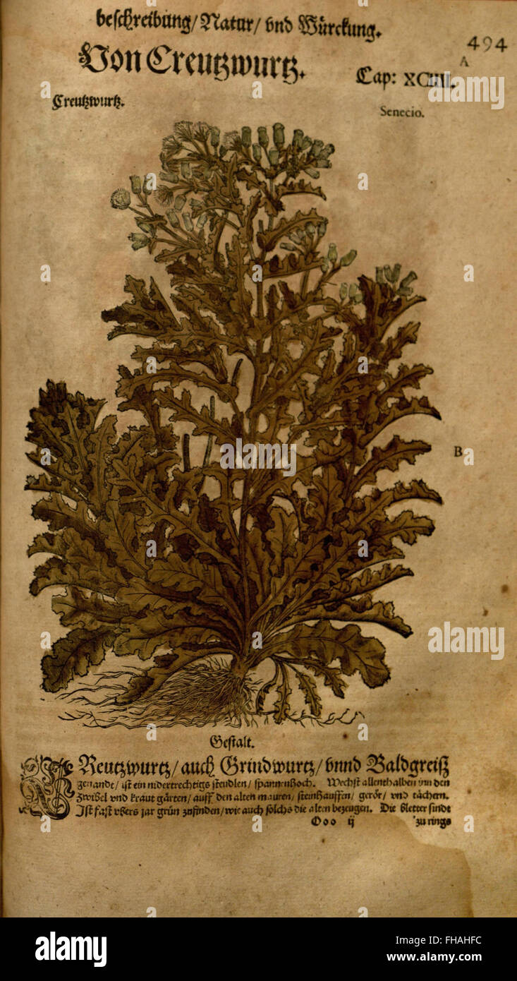 A new botanical dictionary detailing various plant species and their ...