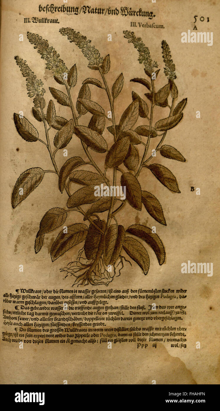 An early work on the medicinal properties of plants based on ...
