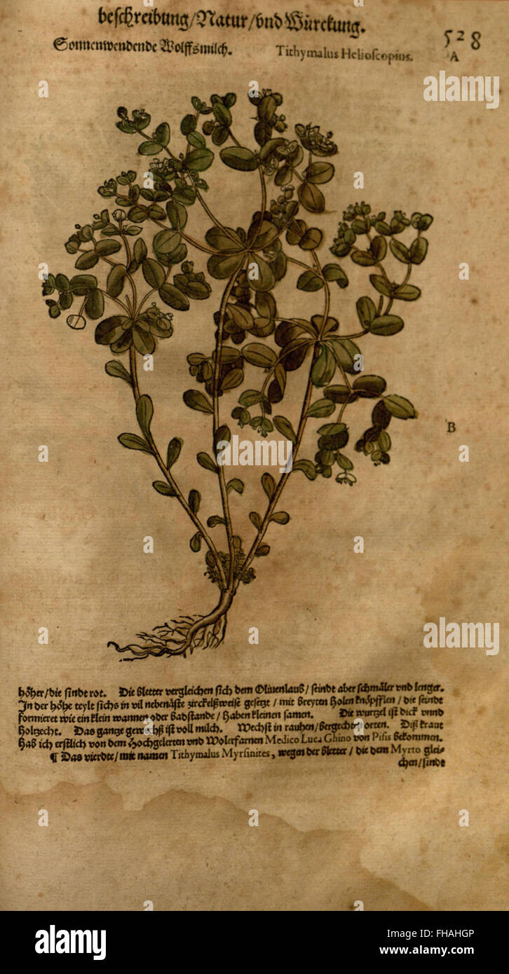 An early work focusing on medicinal plants and materia medica ...