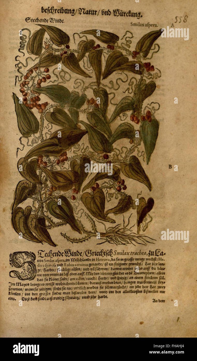A comprehensive botany book on medical materia medica from ancient ...