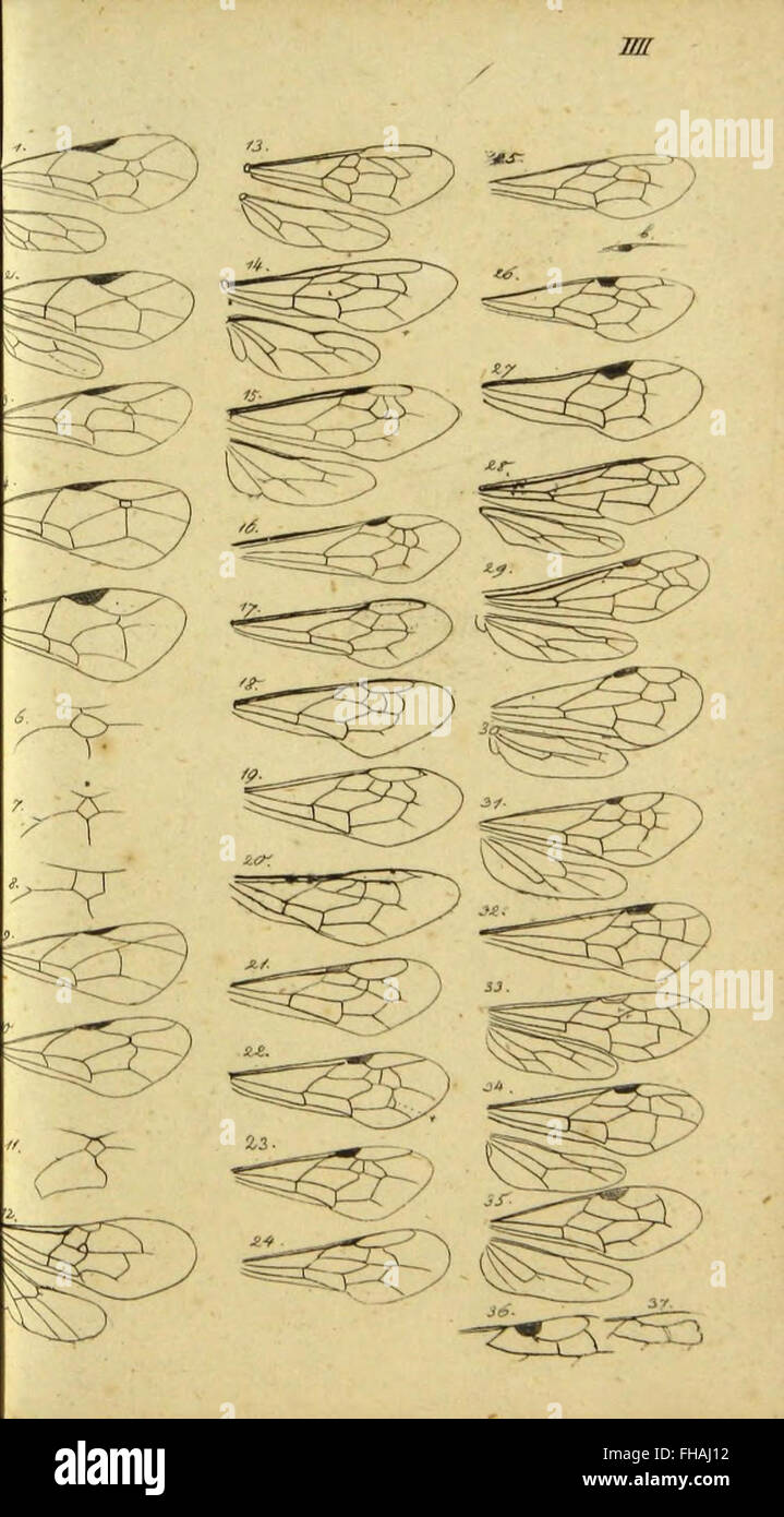 A catalog of European insect species, preserving entomological ...