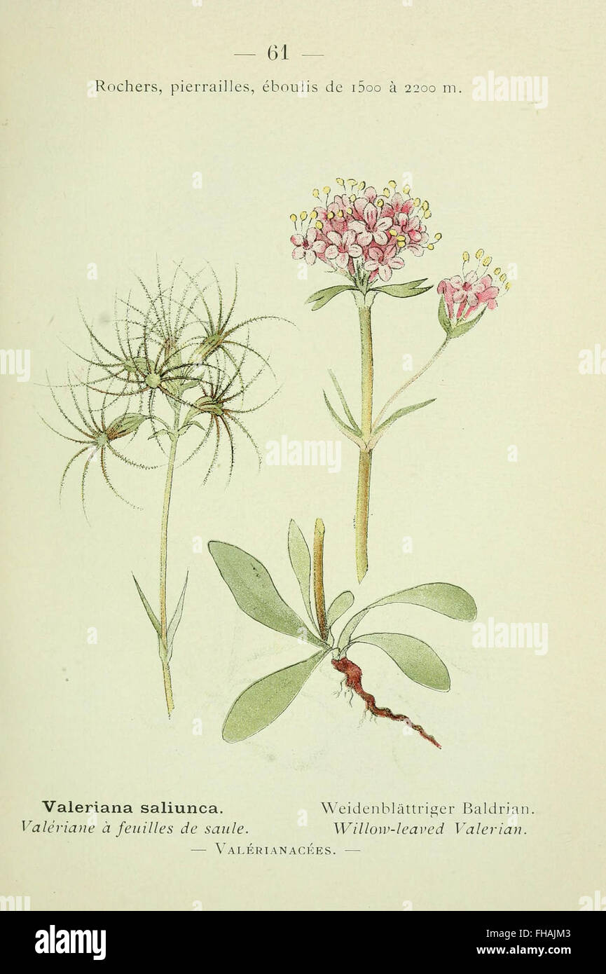 A pocket-sized illustrated guide to the flora of the Alps and Pyrenees ...