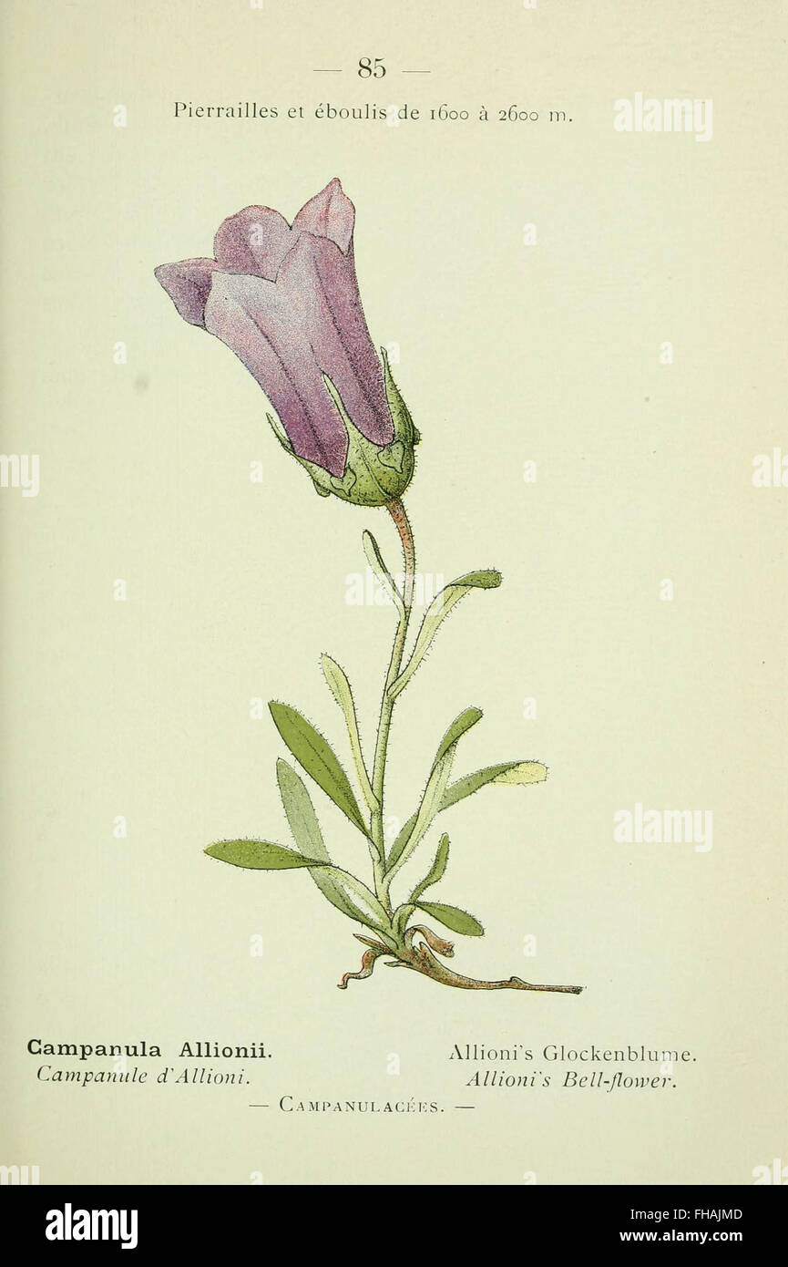 A pocket-sized floral guide to the plants of the Alps and Pyrenees ...