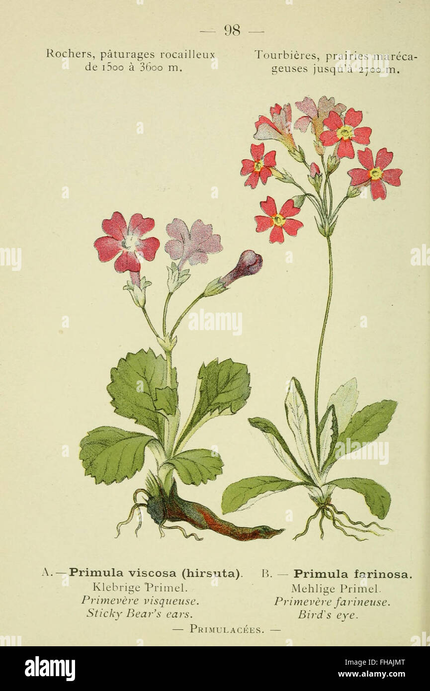 A pocket-sized botanical guide to the flora of the Alps and Pyrenees ...