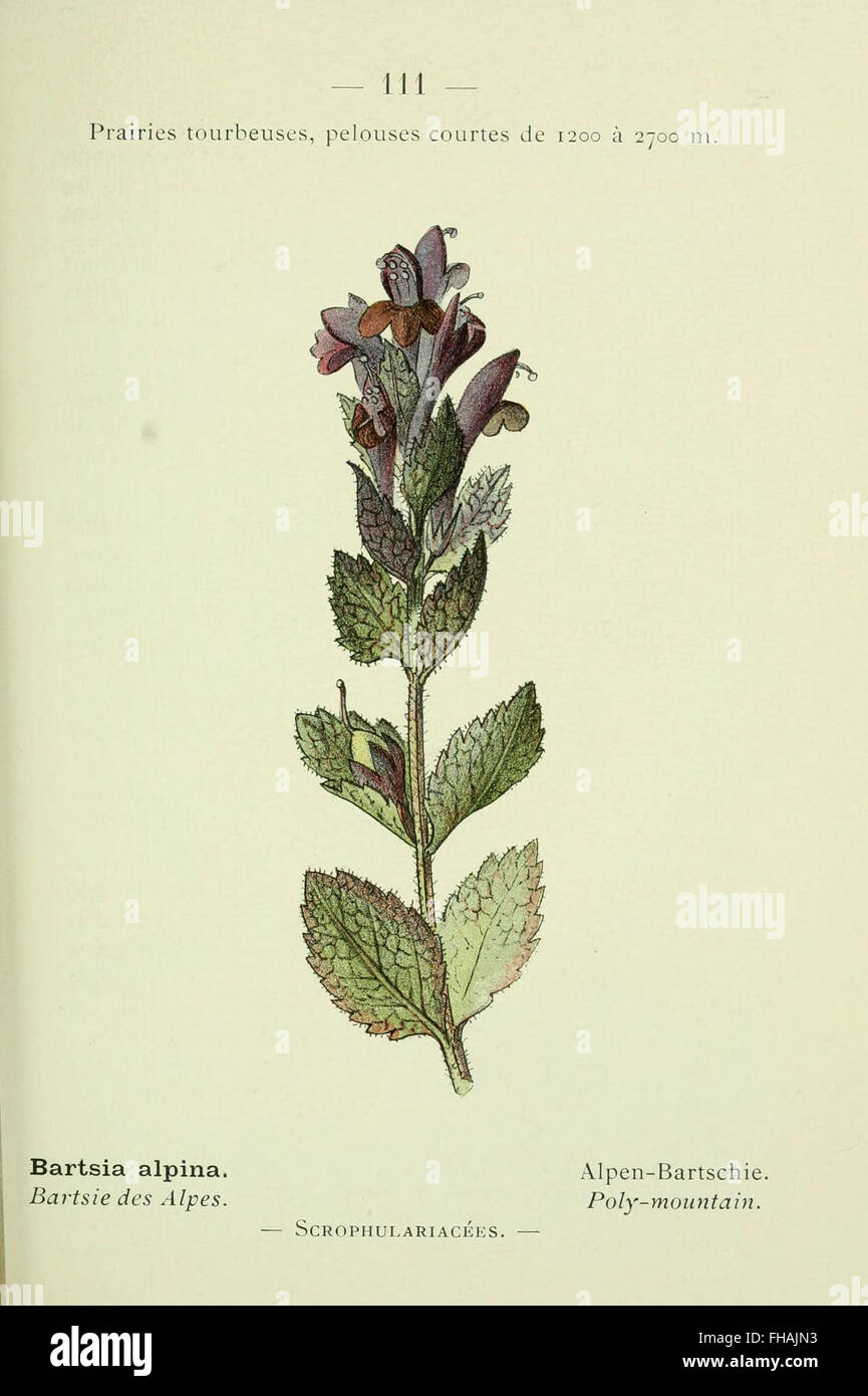 This illustrated pocket guide to the flora of the Alps and Pyrenees ...