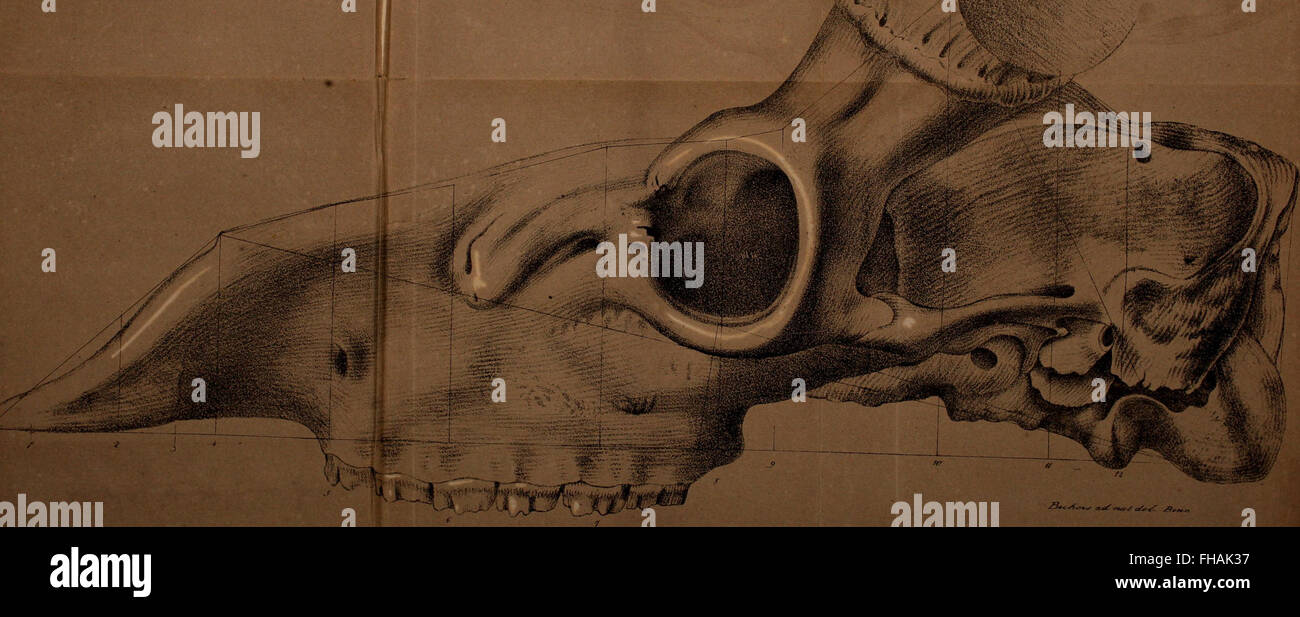 Scientific journal featuring physical and medical discoveries from the ...