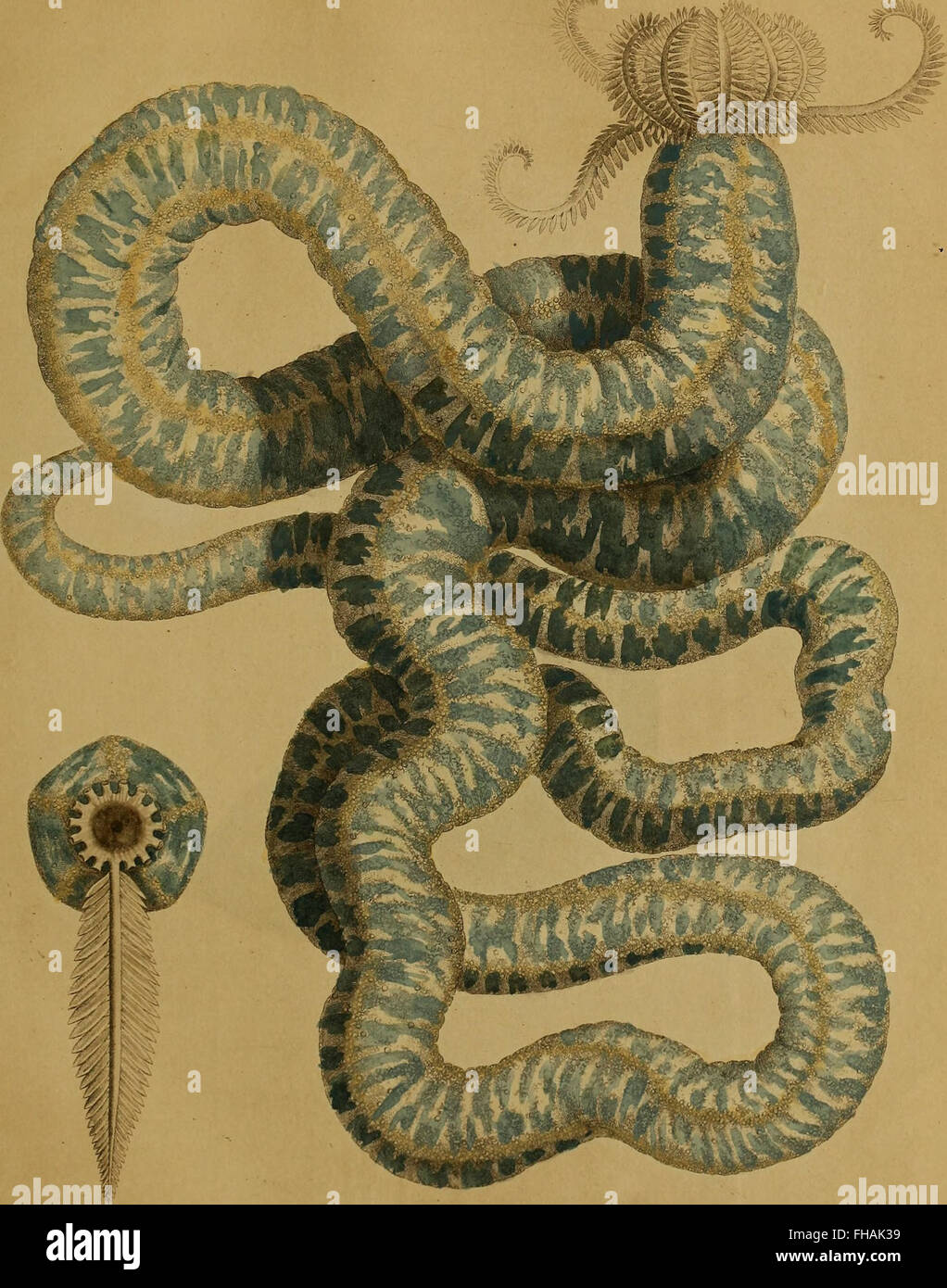 A scientific journal from 1820 that focused on physical and medical ...