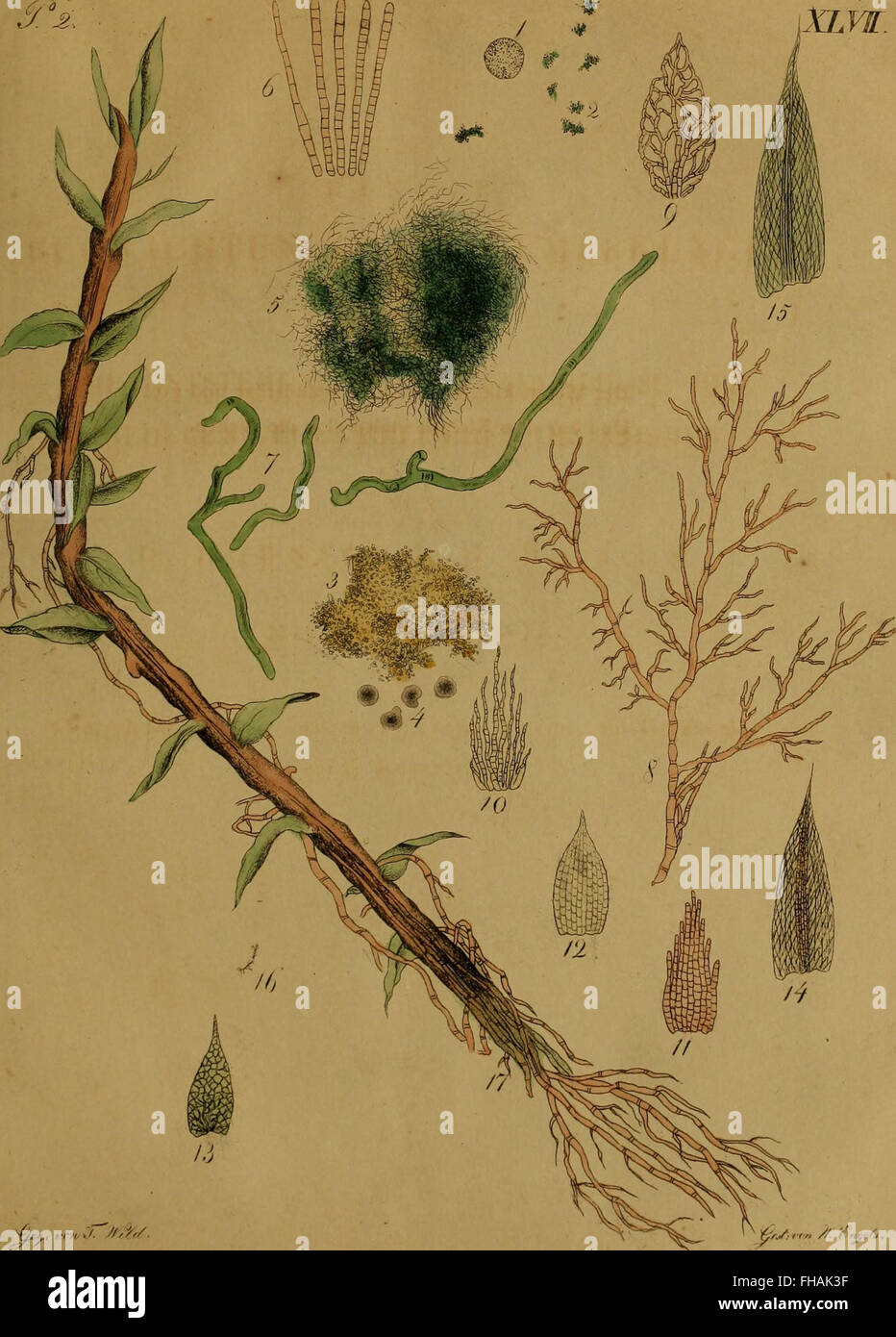 A scientific journal from 1820, presenting papers and studies in the ...