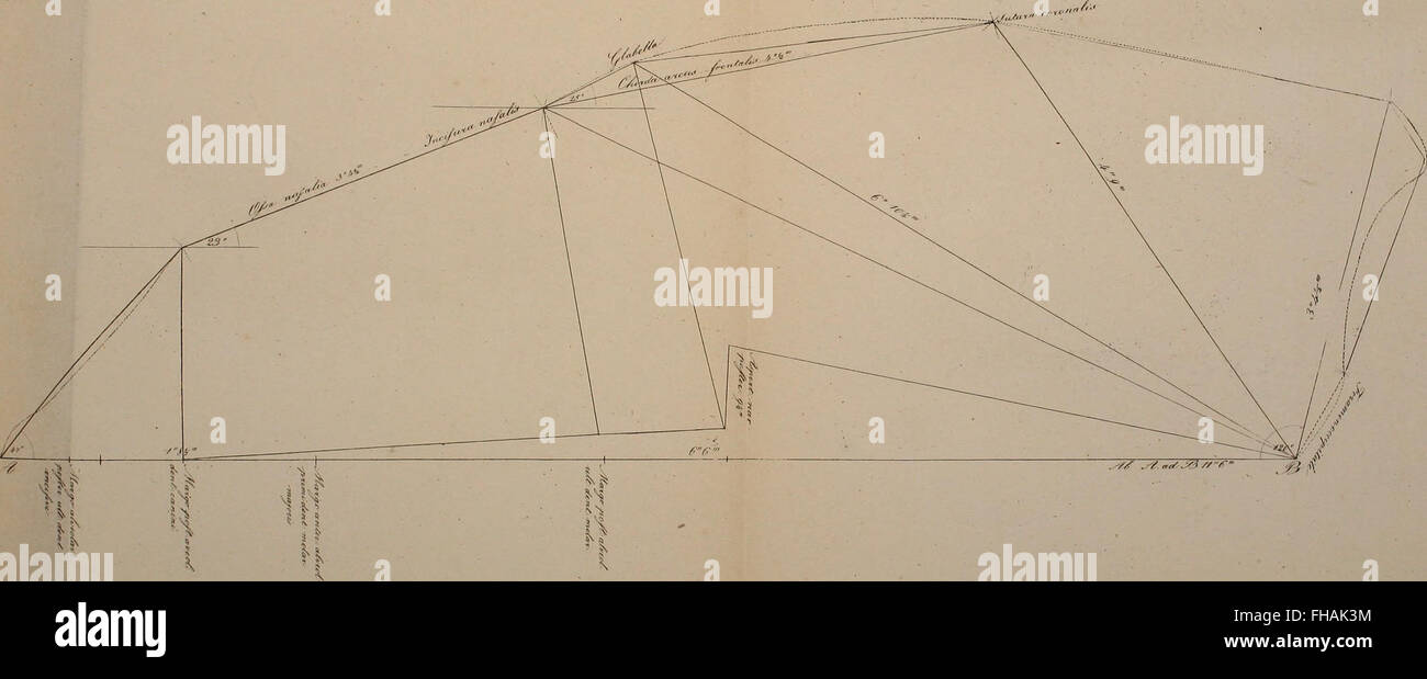 A scientific journal from 1820 that includes a collection of articles ...