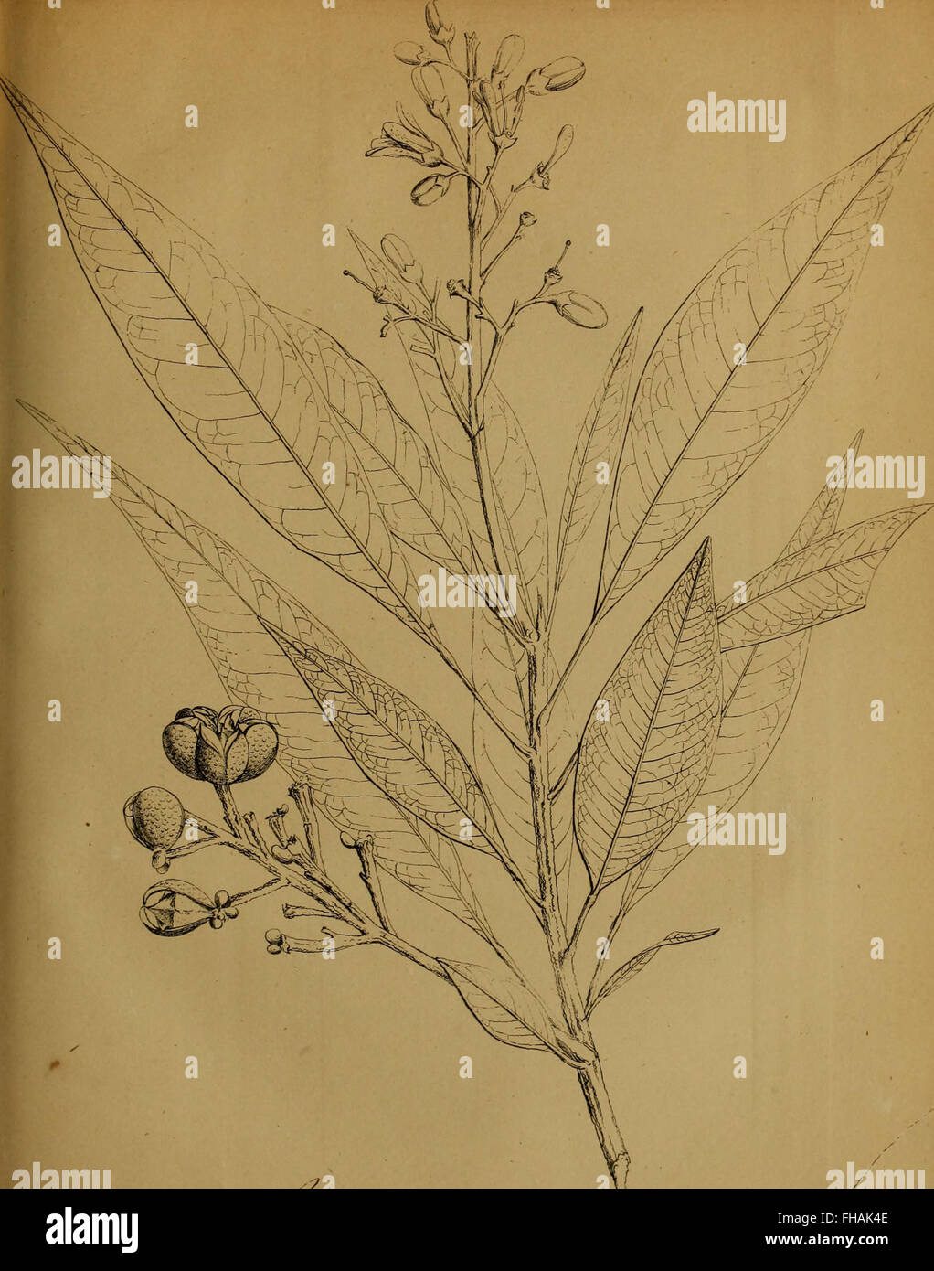 A scientific journal from 1823 covering research in physics, medicine ...
