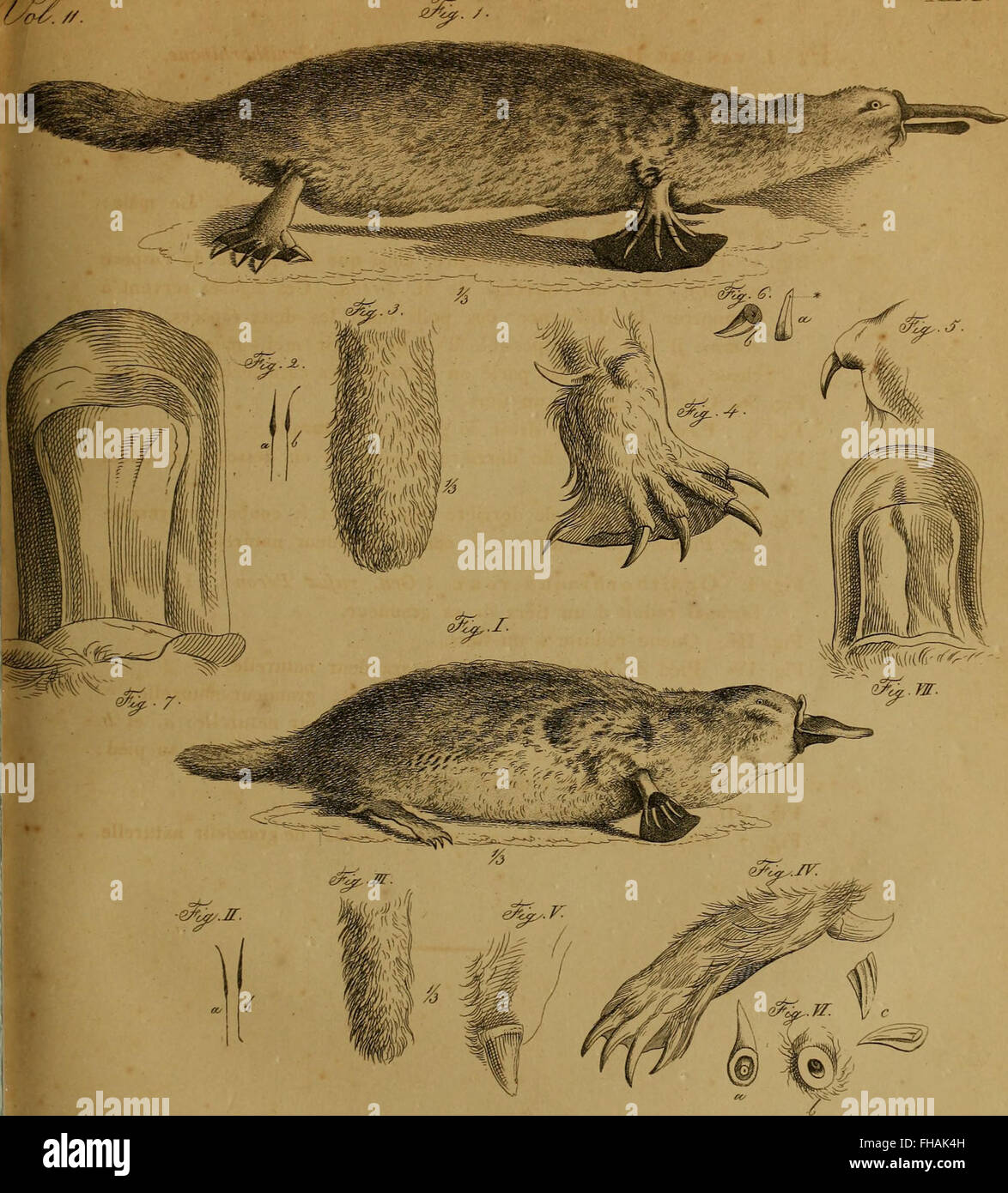 An early 19th-century scientific journal documenting breakthroughs in ...
