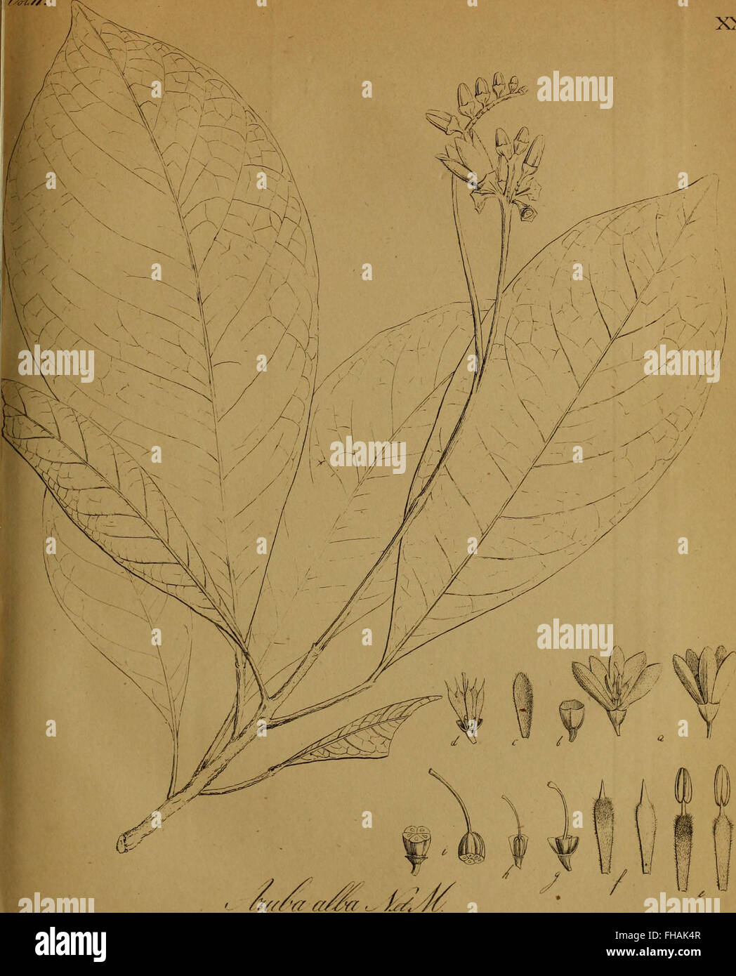 A scientific journal published in 1823, focusing on the latest ...