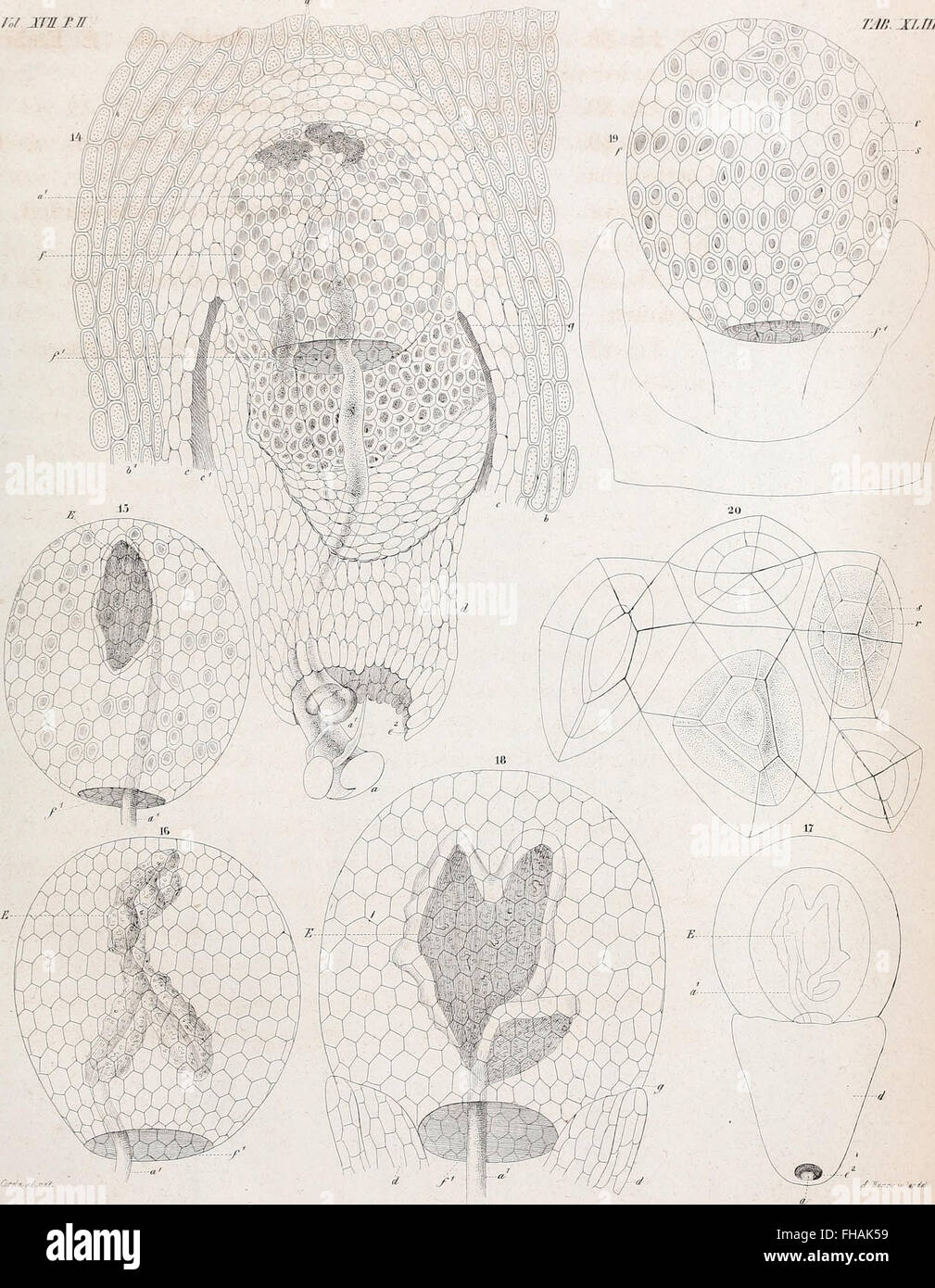 Scientific journal from 1835, featuring important investigations in the ...