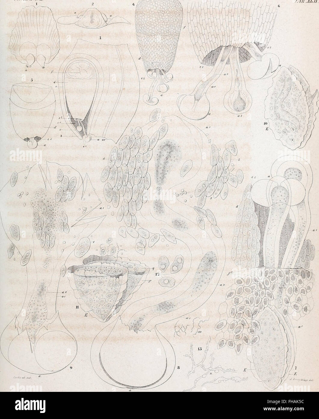 A scientific journal from 1835 containing articles on physics and ...