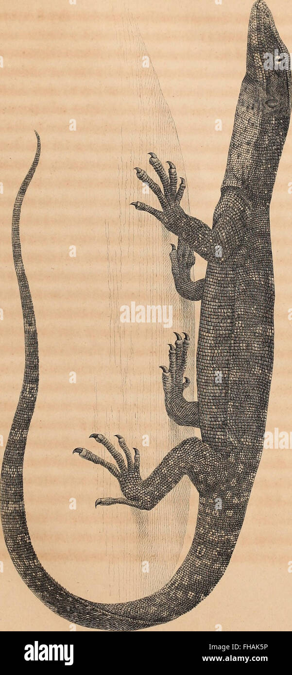 A scientific journal from 1835 focusing on physical and medical ...