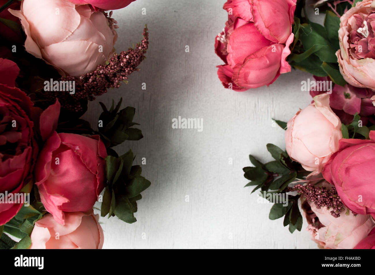 Pink peonies isolated on white background, copy space Stock Photo - Alamy