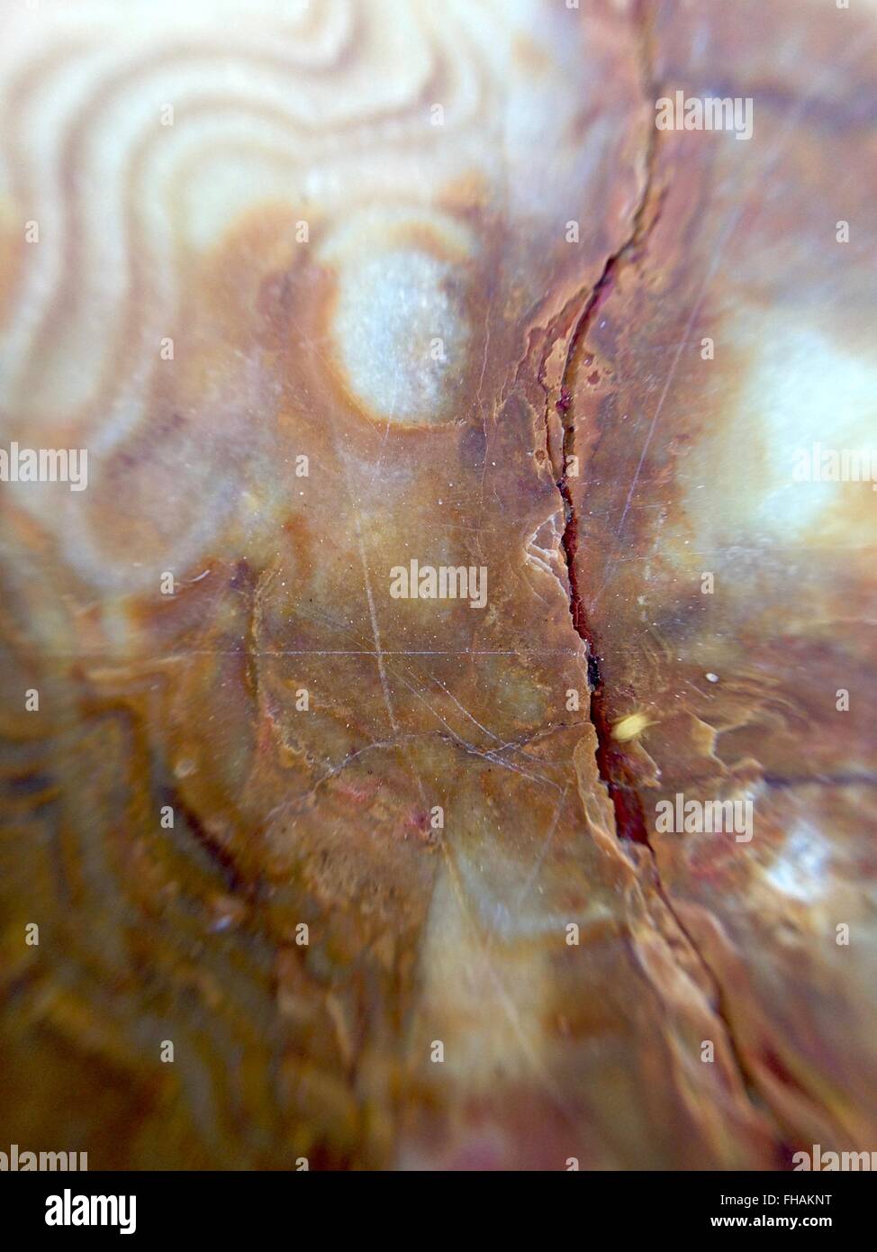 Micro Granite Stone Stock Photo - Alamy