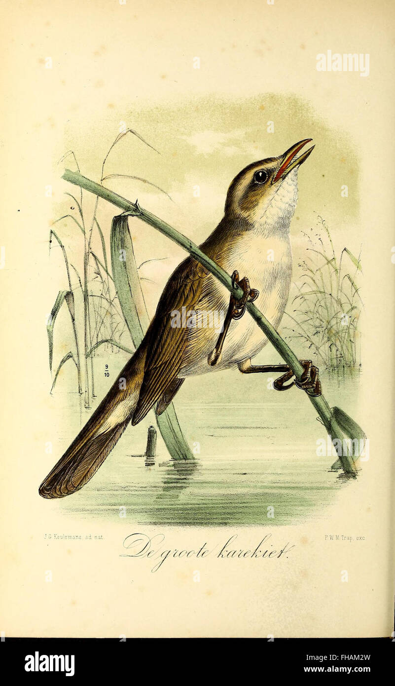 Leiden anatomy hi-res stock photography and images - Alamy