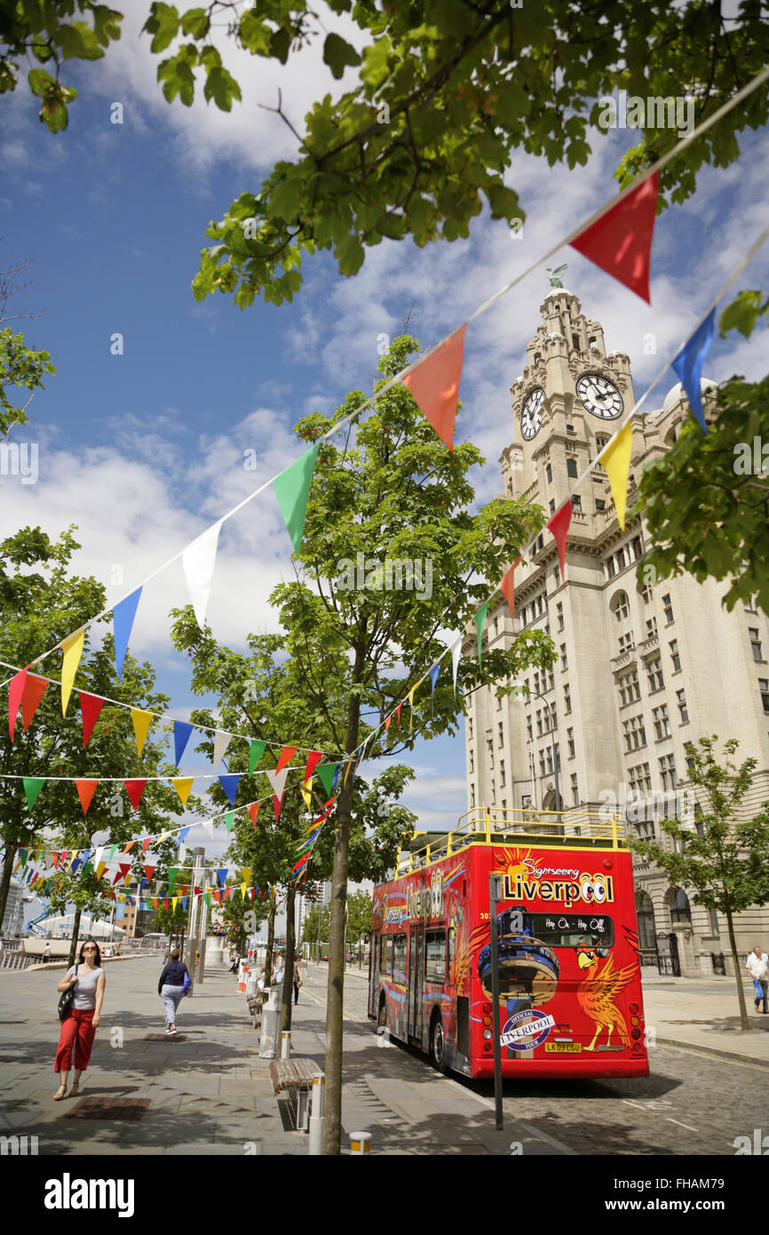 Sightseeing bus near the Liver Building, Liverpool, UK Stock Photo - Alamy