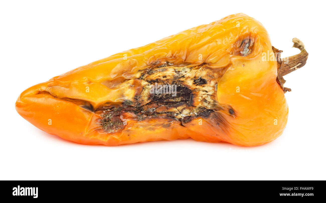 Rotten orange bell pepper isolated on white background Stock Photo - Alamy