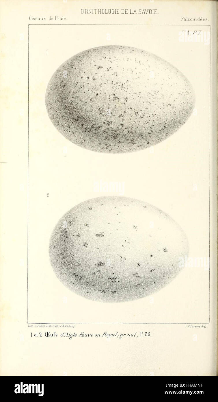 An ornithological study of birds in the Savoie region of France ...