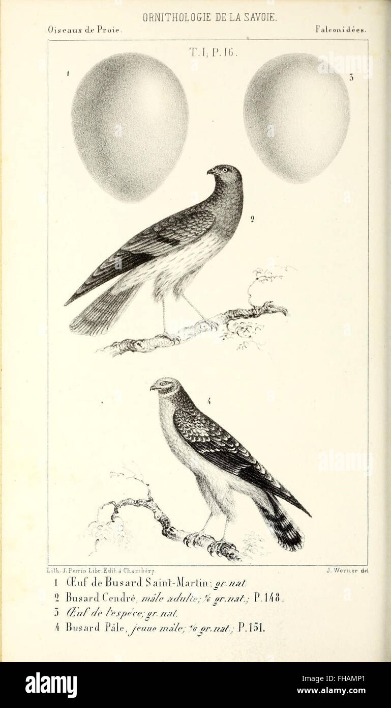 A zoological study of bird species in the Savoie region of France ...