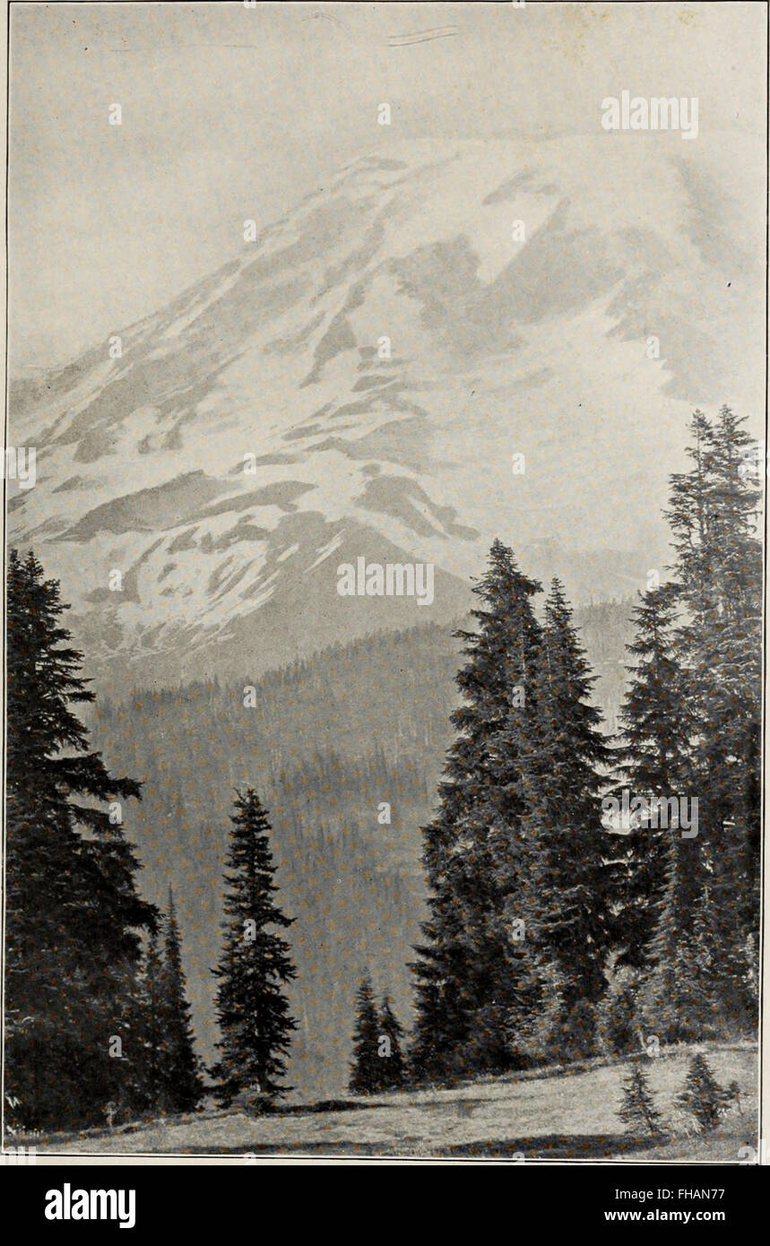 A historical overview of U.S. national parks, published in 1909 ...