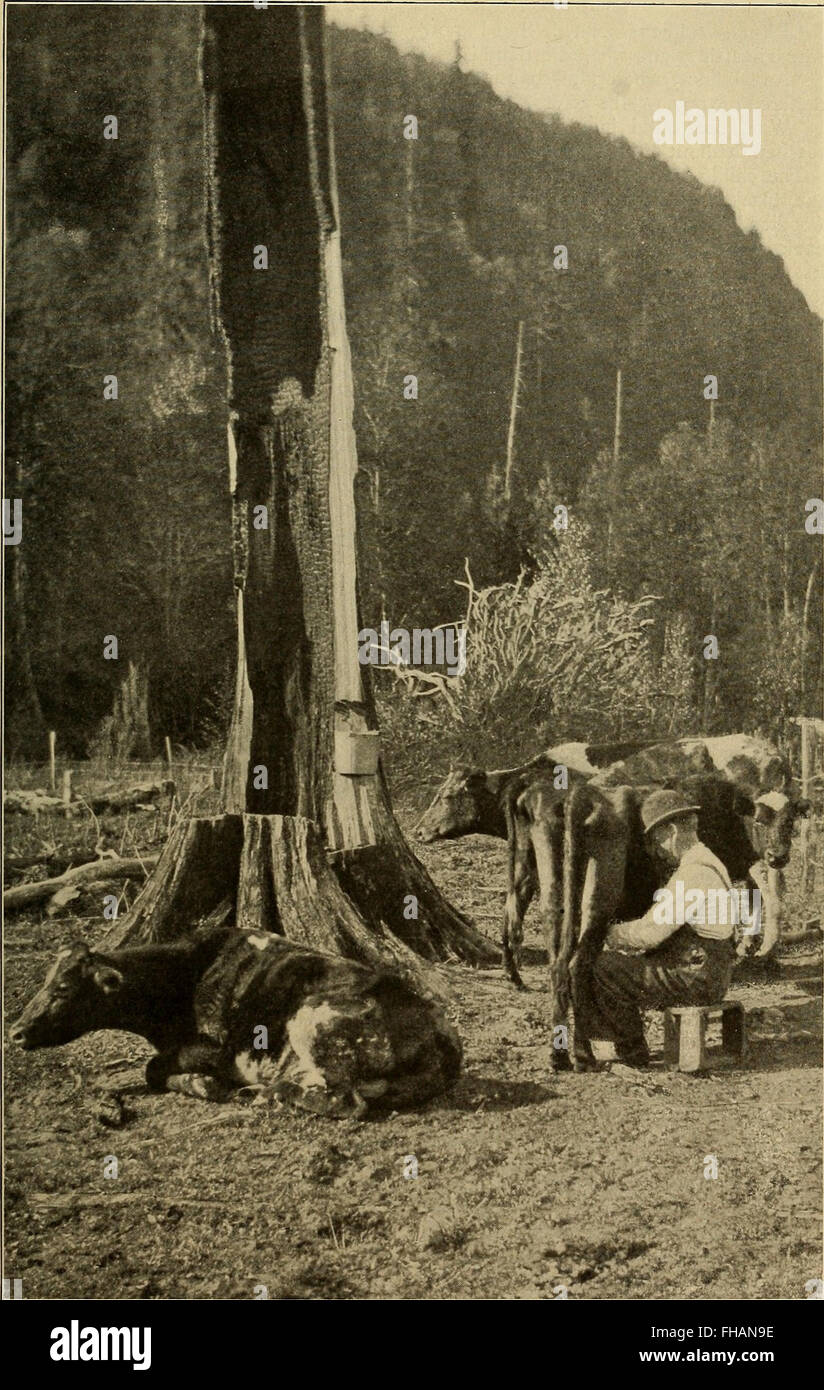 Outing (1885) - A 19th-century American magazine featuring articles on ...