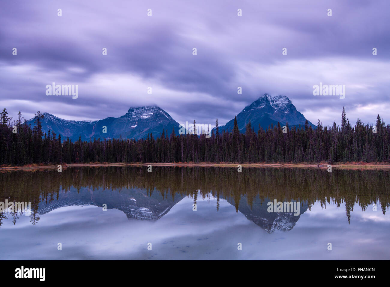 Fryatt Ponds, Jasper Nationalpark, Alberta, Canada Stock Photo - Alamy