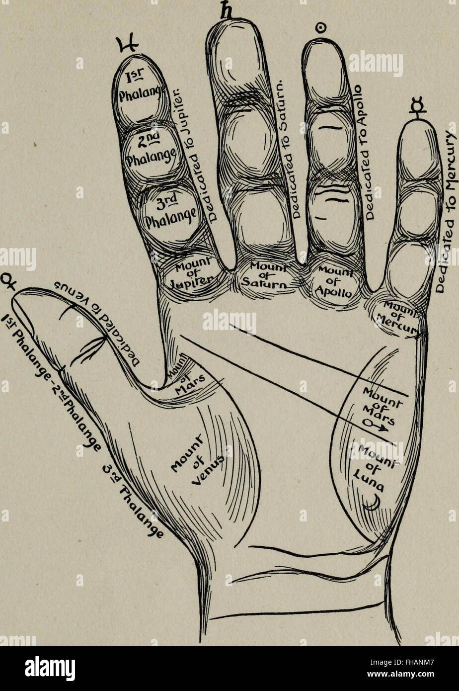 Perin's Science of Palmistry (1902), a treatise on the interpretation ...