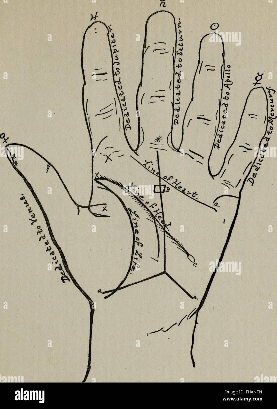 A comprehensive work from 1902 on the science of palmistry, offering an ...
