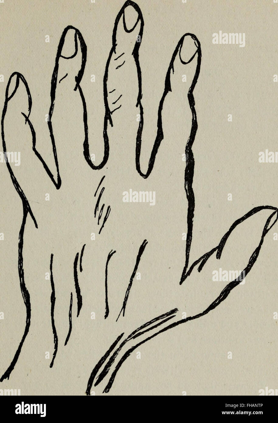 Perin's Science of Palmistry (1902): A comprehensive and authoritative ...