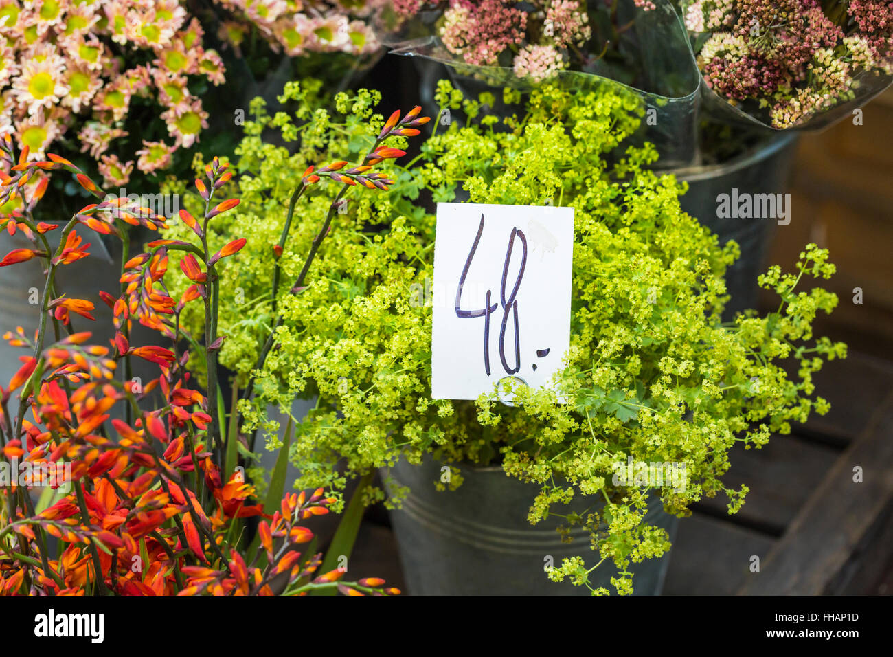 Outdoor flower market in Copenhagen, Denmark Stock Photo - Alamy