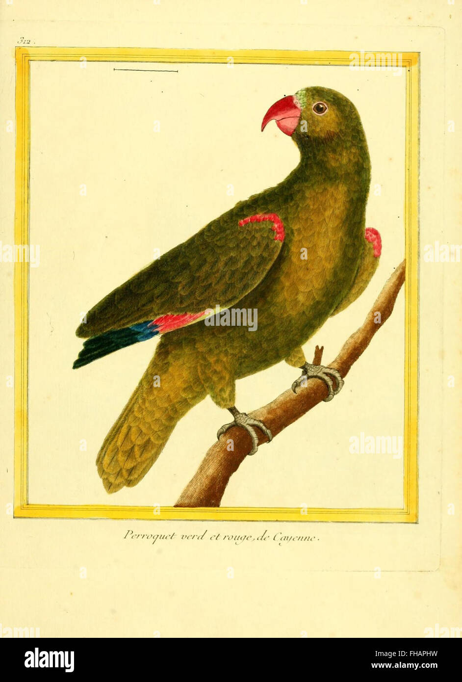 A collection of illuminated plates from the Smithsonian Libraries ...