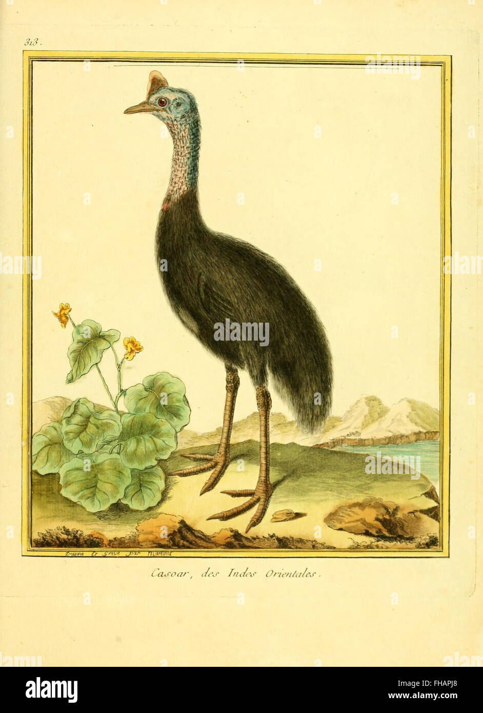 An illuminated work on the natural history of birds, offering artistic ...