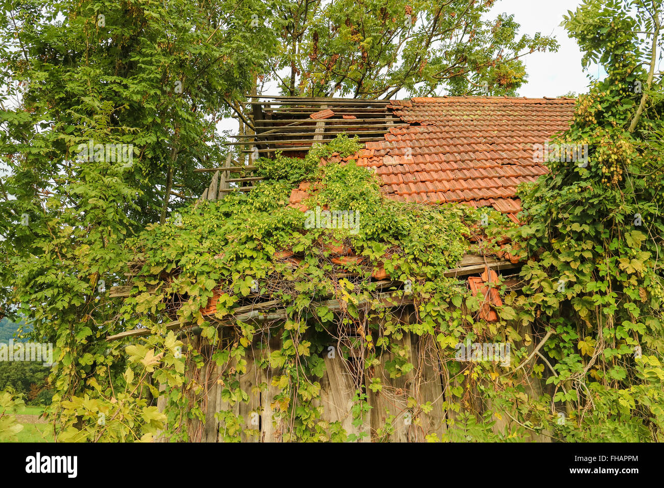 Broken bricks bar hi-res stock photography and images - Alamy