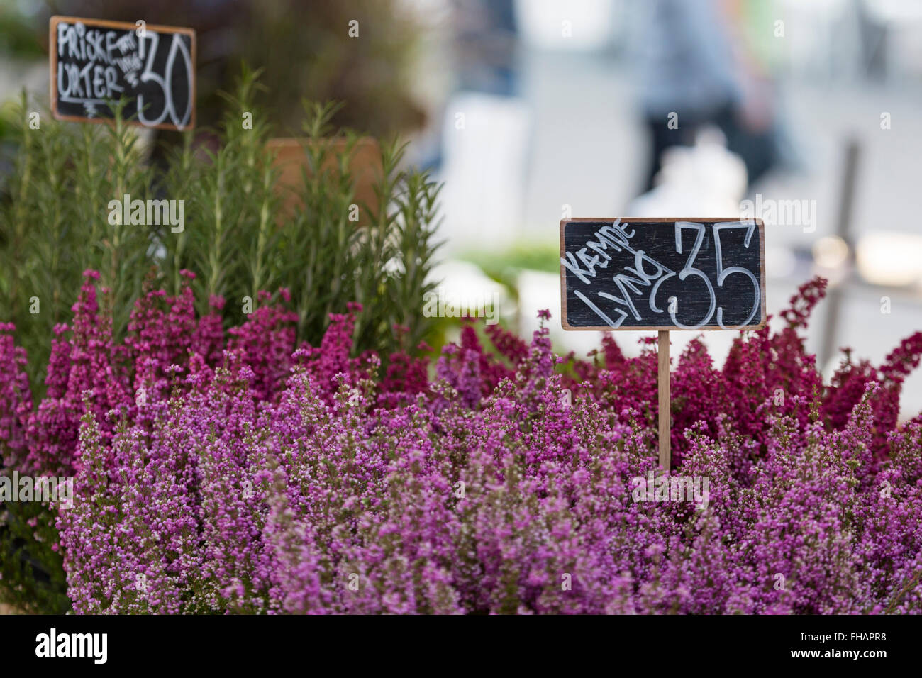 Outdoor flower market in Copenhagen, Denmark Stock Photo - Alamy