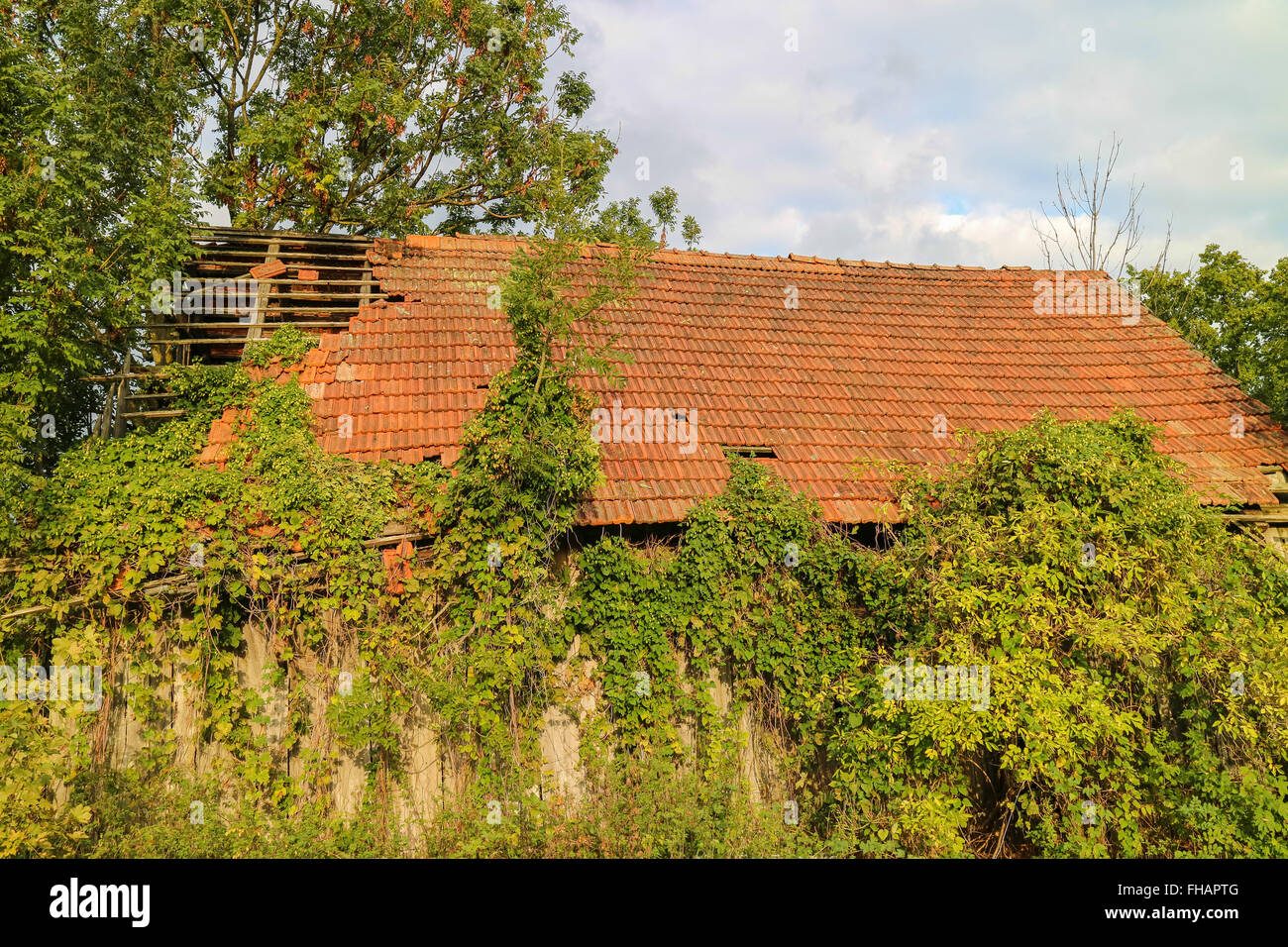 Old bricks roof hi-res stock photography and images - Alamy
