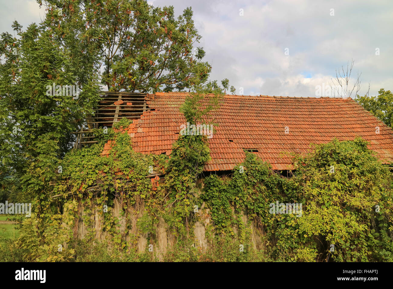 Old wooden bar with red roof and old bricks Stock Photo - Alamy