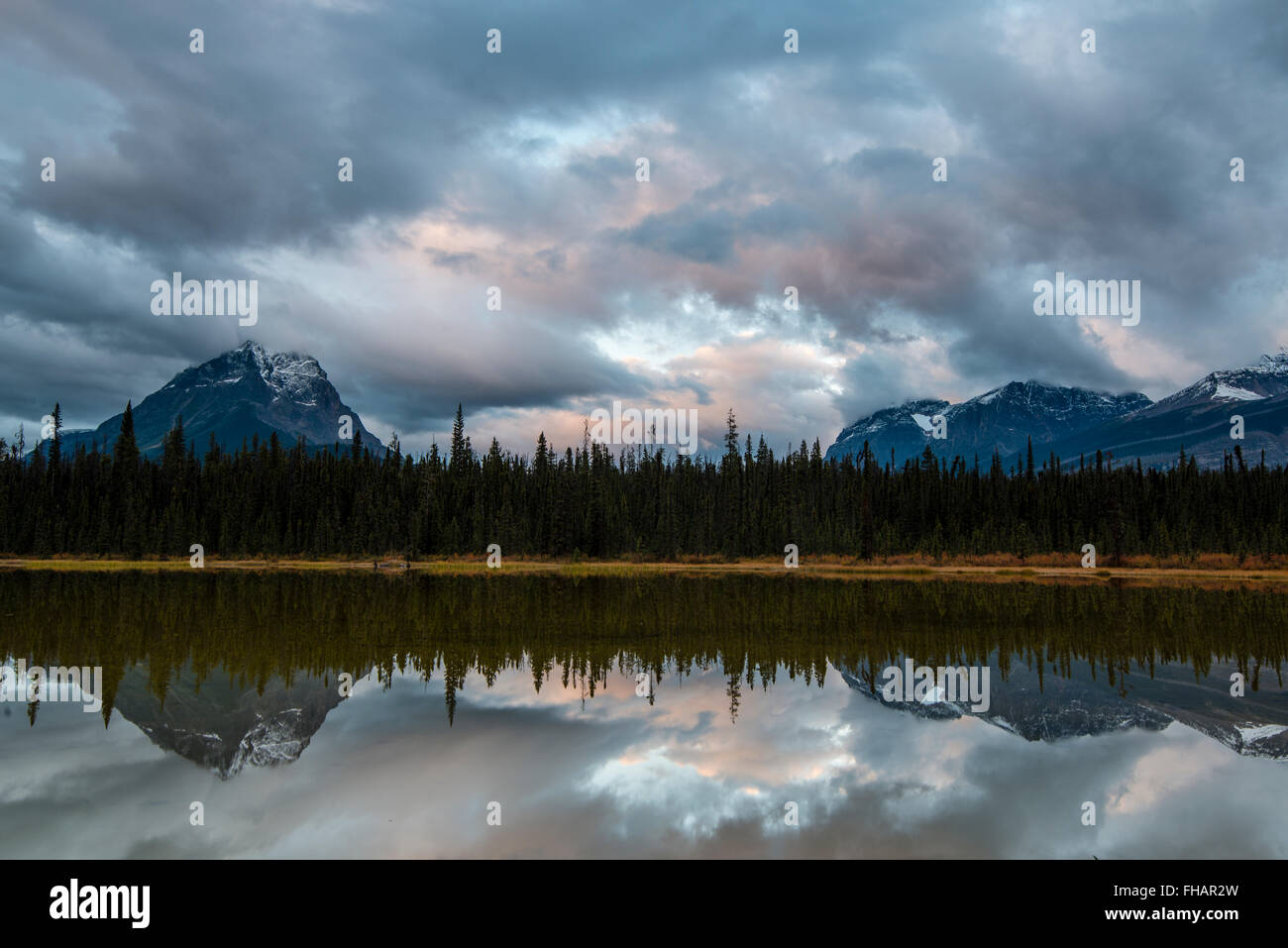 Fryatt Ponds, Jasper Nationalpark, Alberta, Canada Stock Photo - Alamy