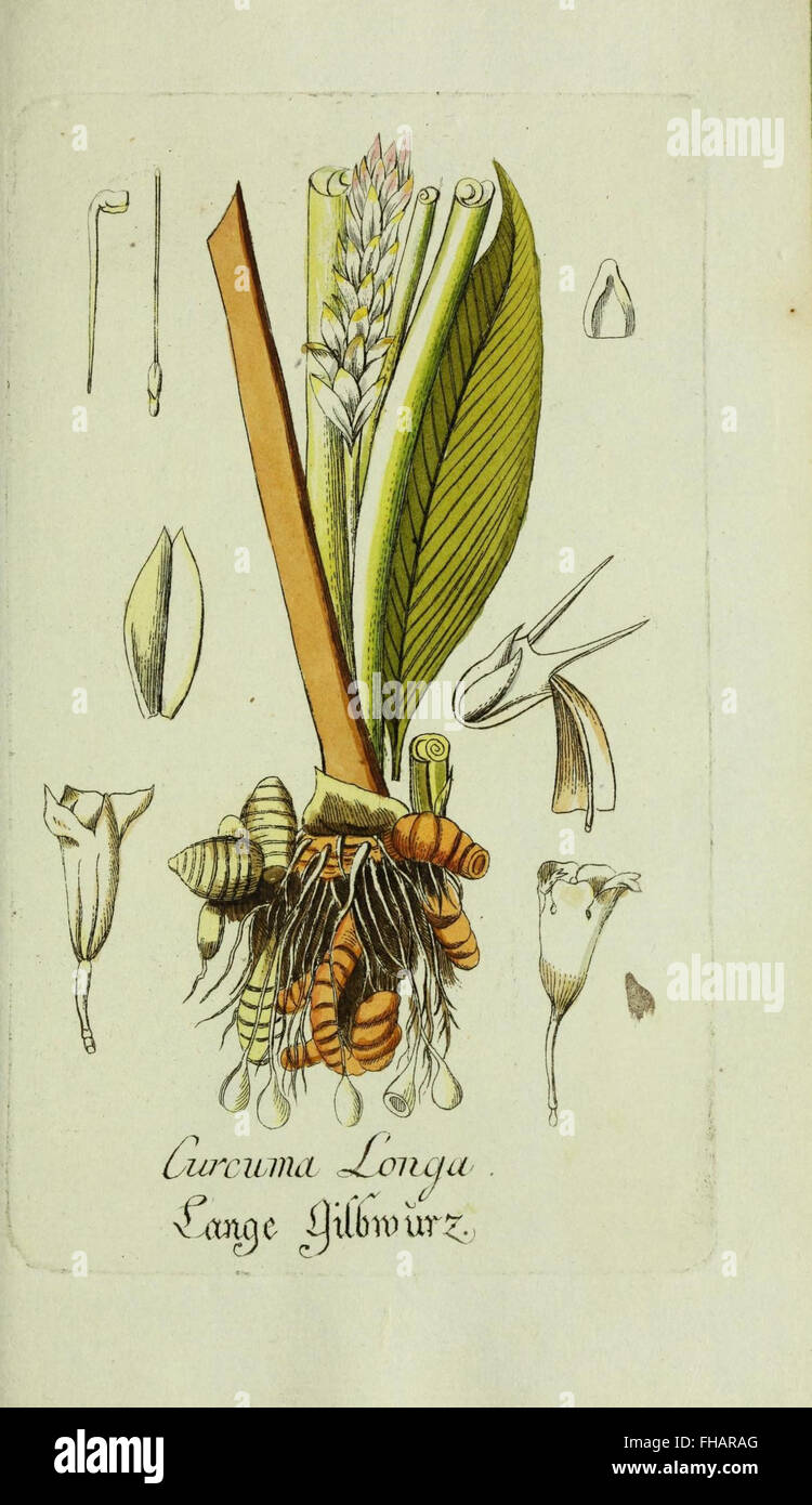 A botanical collection of colored illustrations of indigenous and ...