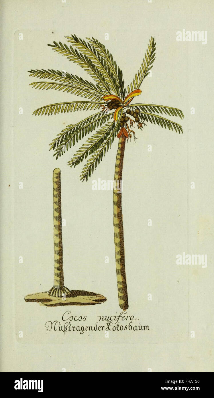 A botanical collection of indigenous and exotic plants with life-like ...