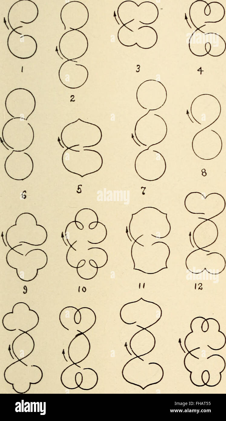 A detailed guide to figure skating, featuring over 600 illustrations ...