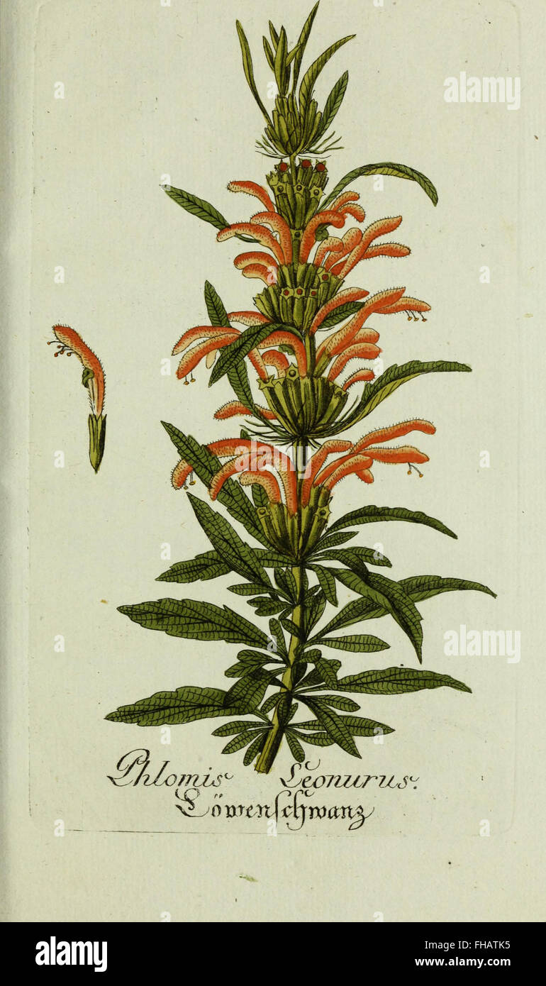 A 1791 botanical work featuring color illustrations of indigenous and ...